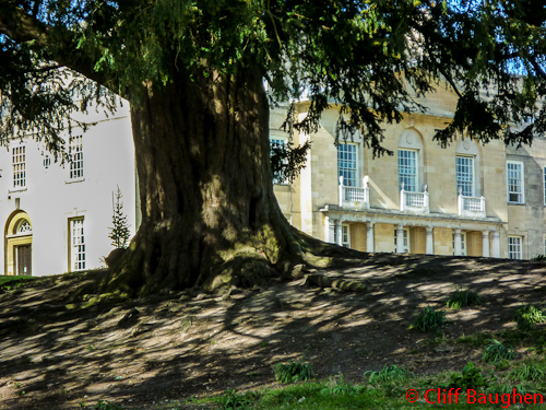 Gatton Hall, Surrey | Cliff Baughen